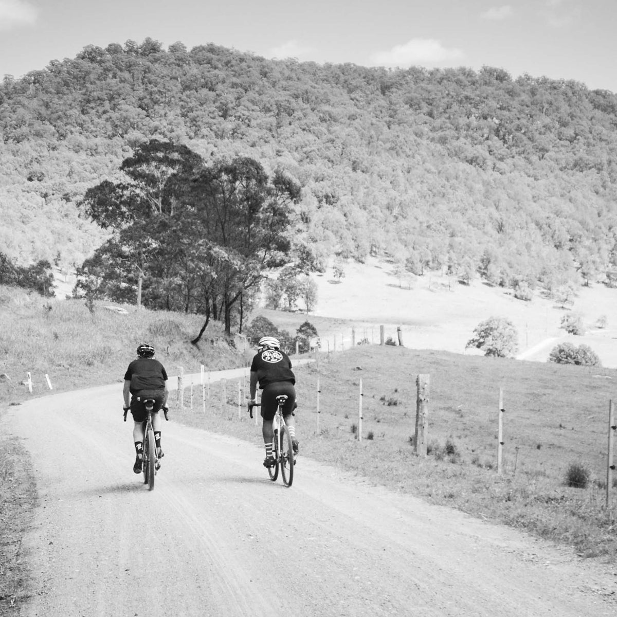 Why Choose Grove - Grove Bike Co
